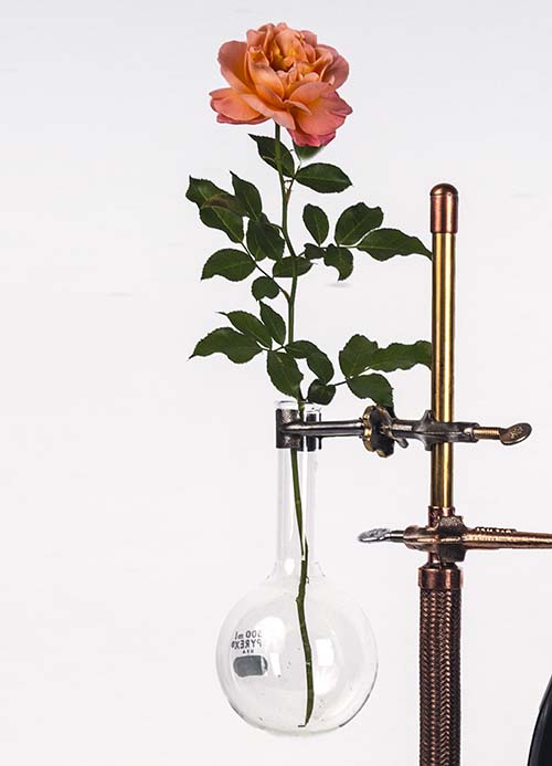 Gallery | Original Artwork | Transitional Objects